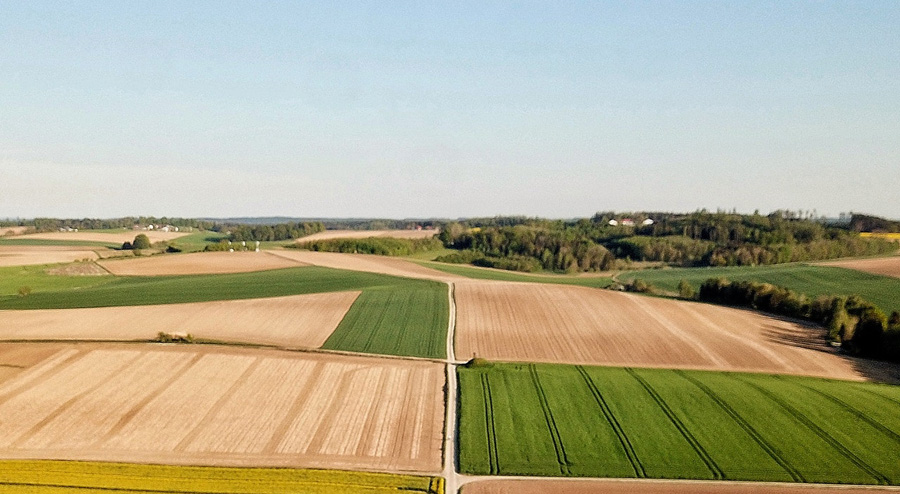 Cuántos metros cuadrados tiene una hectárea de terreno